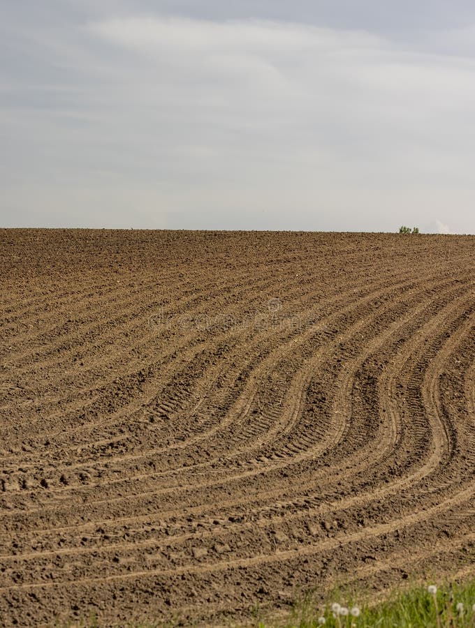 Fertile Soil in Spring during the Preparation for Sowing Stock Image ...