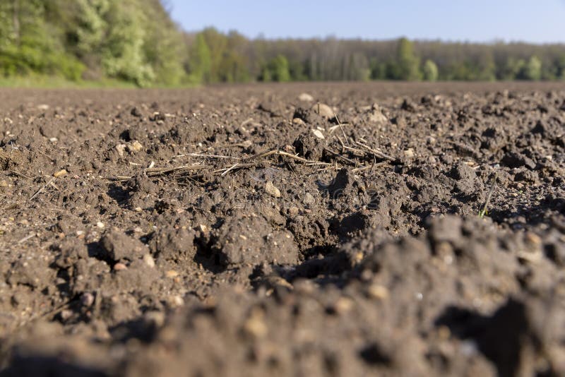 Fertile Soil in Spring during the Preparation for Sowing Stock Image ...