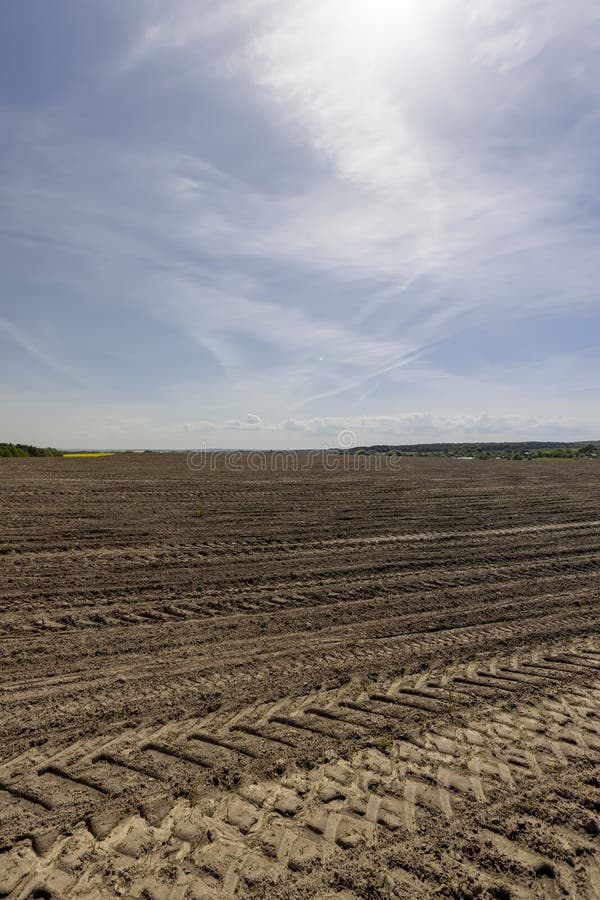 Fertile Soil in Spring during the Preparation for Sowing Stock Image ...