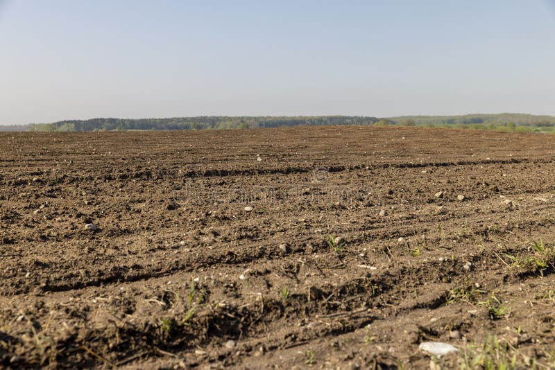 Fertile Soil in Spring during the Preparation for Sowing Stock Image ...