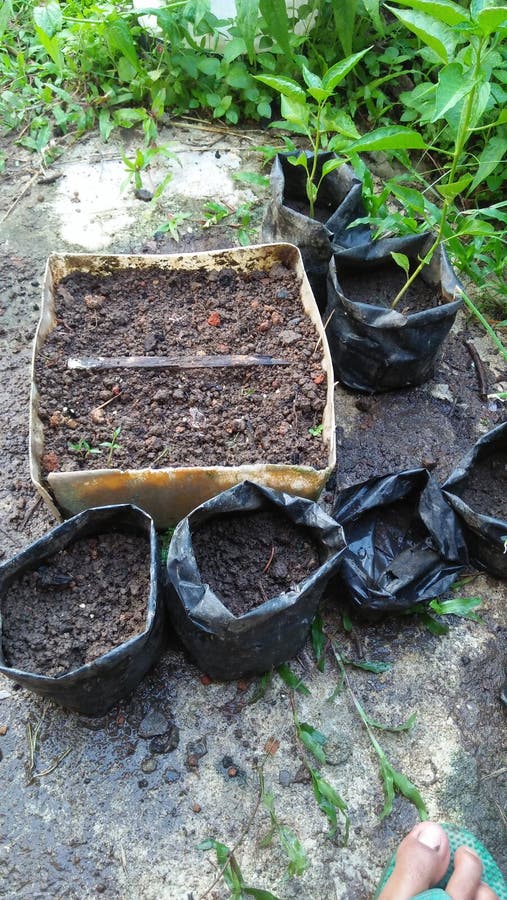 The Soil Which Results in the Creation of Puddles Stock Photo - Image ...