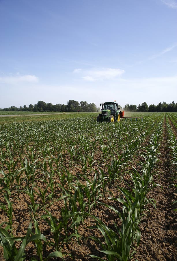 Fertilization stock image. Image of farmer, fertilization - 9749505