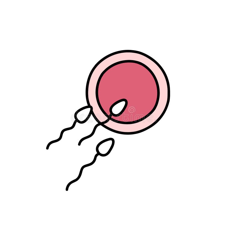 Fertilization Concept Ovum And Sperm Doodle Icon Vector Color Line