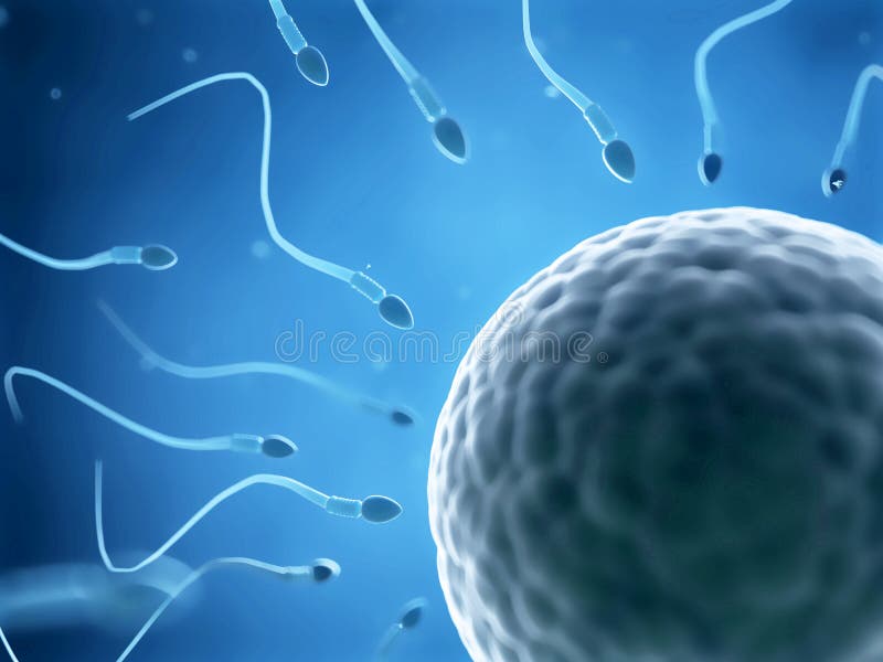 The fertilization stock illustration. Illustration of blue - 34164950