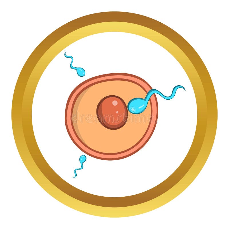 Fertilization of Egg Vector Icon, Cartoon Style Stock Vector ...