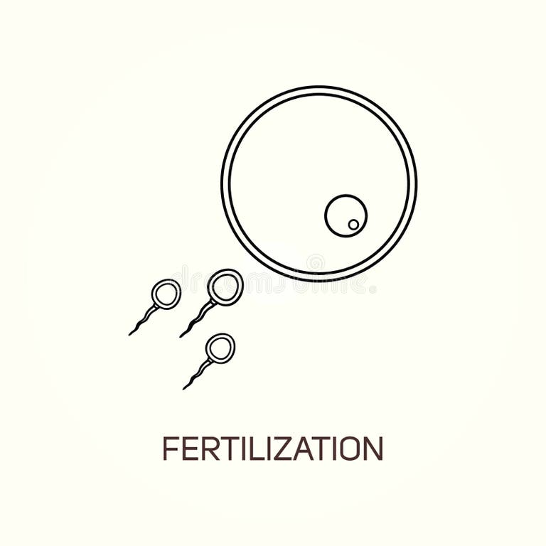 Fertilization Process. Human Sperm Cell Icon. Abstract Icon Goal, Sperm ...
