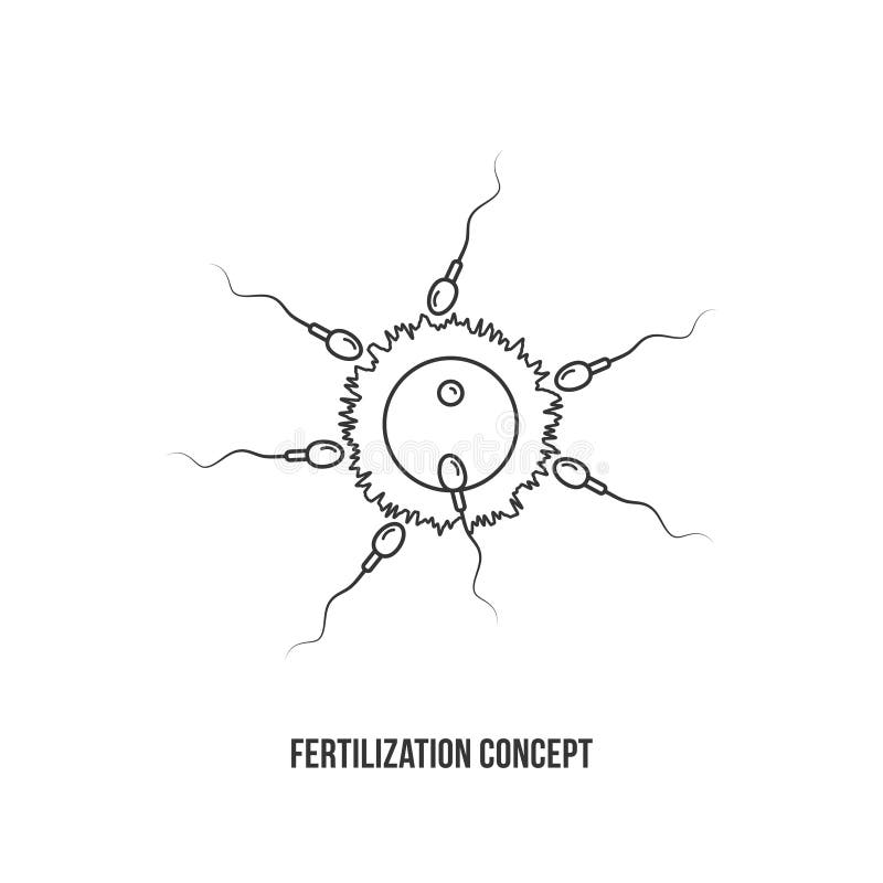Fertilization Process Icon. Cartoon Comic Design. Spermatozoons ... Fertilization Process Icon. Cartoon Comic Design. Spermatozoons ...