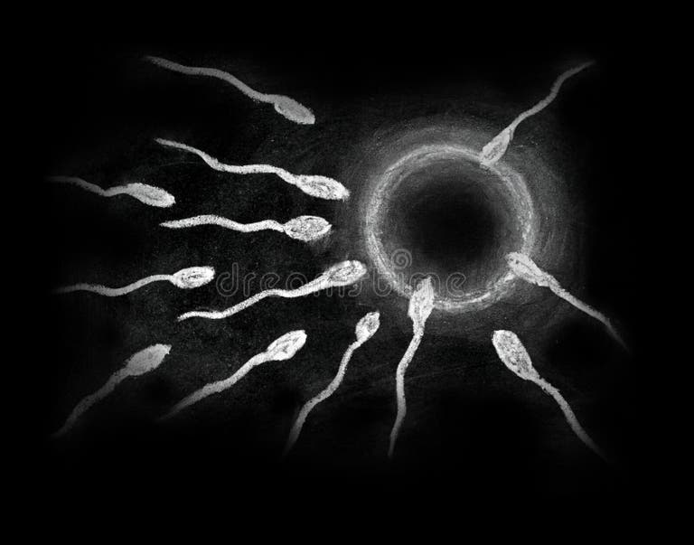 Fertilization Drawing Stock Illustrations – 1,494 Fertilization Drawing ...