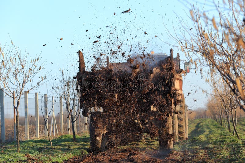 Agriculture stock photo. Image of agriculture, dung, growth - 29935456