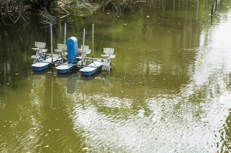 Fertilized Recycle Oxygen Water Pond Canal Dirty Stock Image - Image of ...