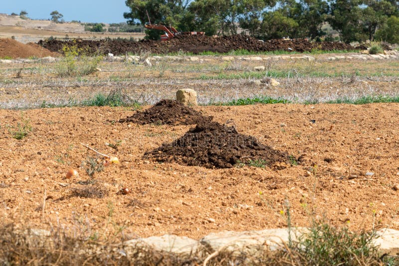 Small Piles Fertilizer in a Field Stock Photo - Image of agricultural ...