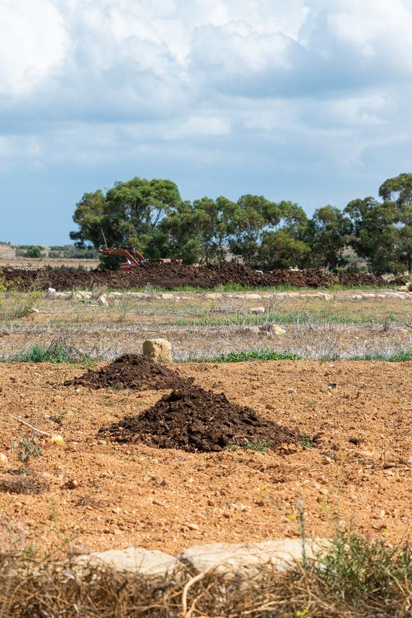 Piles of Fertilizer in a Field Stock Image - Image of animal ...