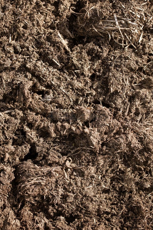 Fertilizer from Manure As an Abstract Background Stock Photo - Image of ...