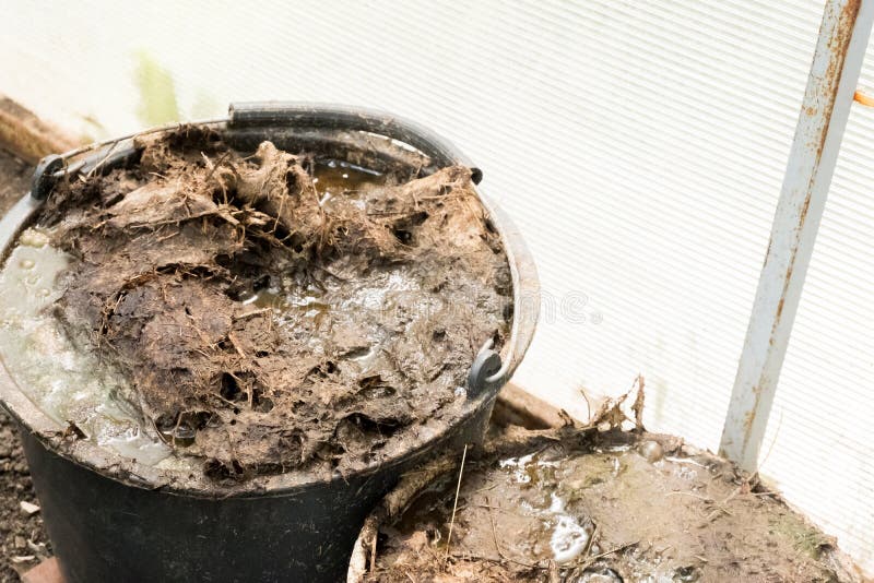 Fertilizer for Plant Nutrition in a Black Barrel Stock Photo - Image of ...