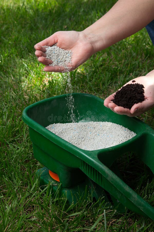 Fertilizing Lawn stock image. Image of turf, frontyard - 25003513