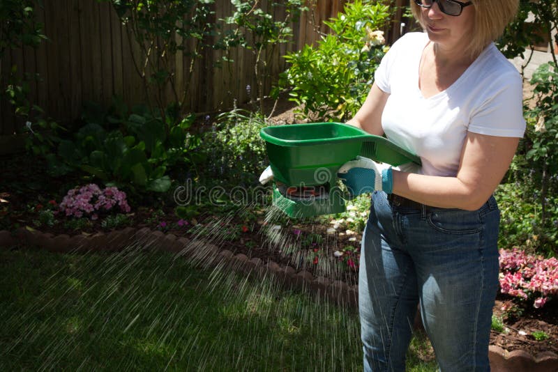 Fertilizing Lawn stock photo. Image of soil, woman, working - 25003532