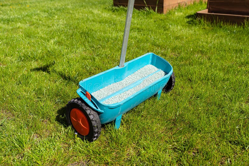 Fertilizing a Young Lawn with Grass Fertilizer in Granules Using a ...