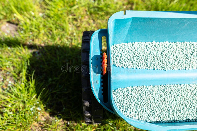 Fertilizing a Young Lawn with Grass Fertilizer in Granules Using a ...