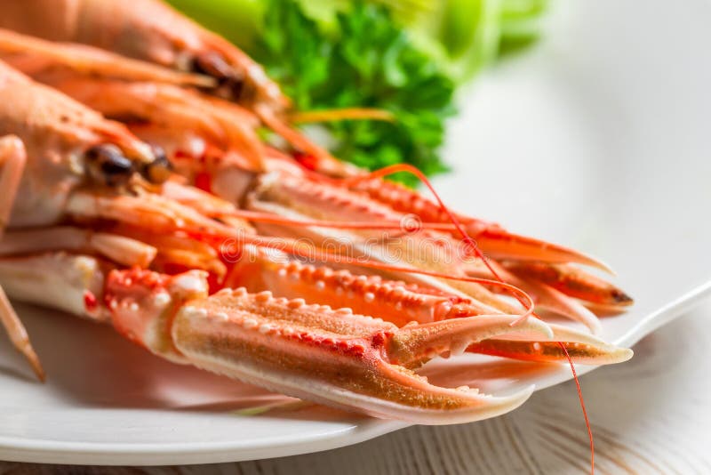 King crab legs stock photo. Image of claw, close, nutritious - 22594964