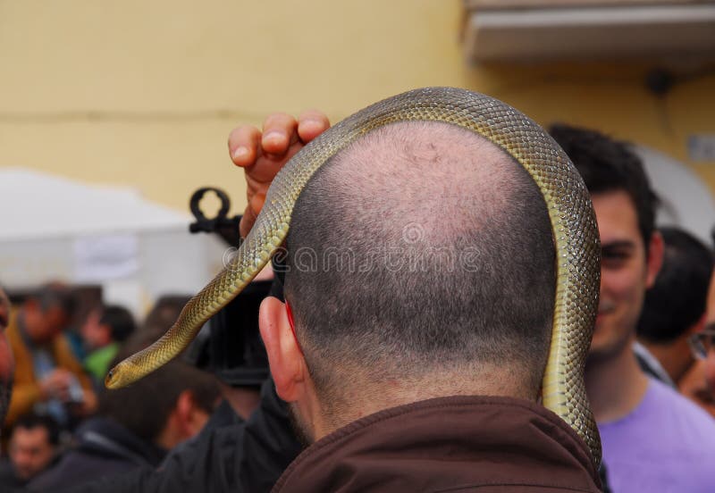 Festival of Snakes, Cervone Harmless Snake Editorial Stock Photo ...