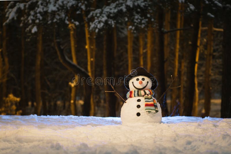Snowman on a Dark Background Stock Image - Image of snow, xmas: 256558237