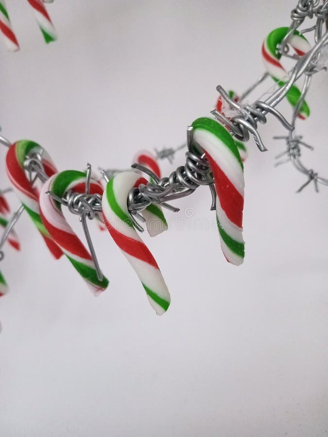 Festive Candycanes Hanging on Barbed Wire Stock Photo - Image of ...