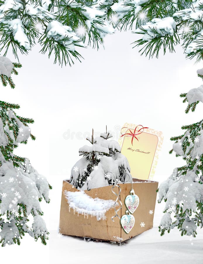 Festive Christmas card. stock photo. Image of bright - 65025468