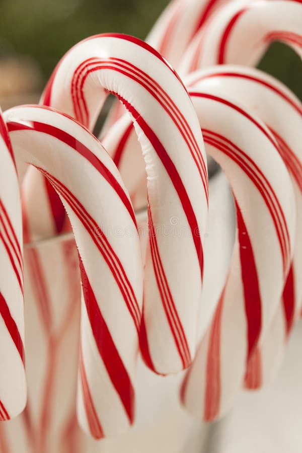 Festive Christmas Peppermint Candy Cane Stock Image - Image of candy ...