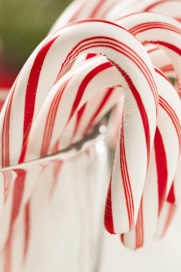 Festive Christmas Peppermint Candy Cane Stock Photo - Image of white ...