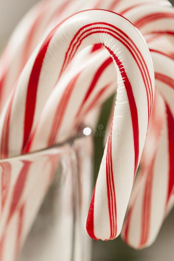Festive Christmas Peppermint Candy Cane Stock Image - Image of ...