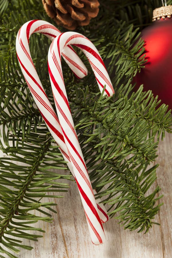 Festive Peppermint Candy Canes Stock Photo - Image of december, sweets ...
