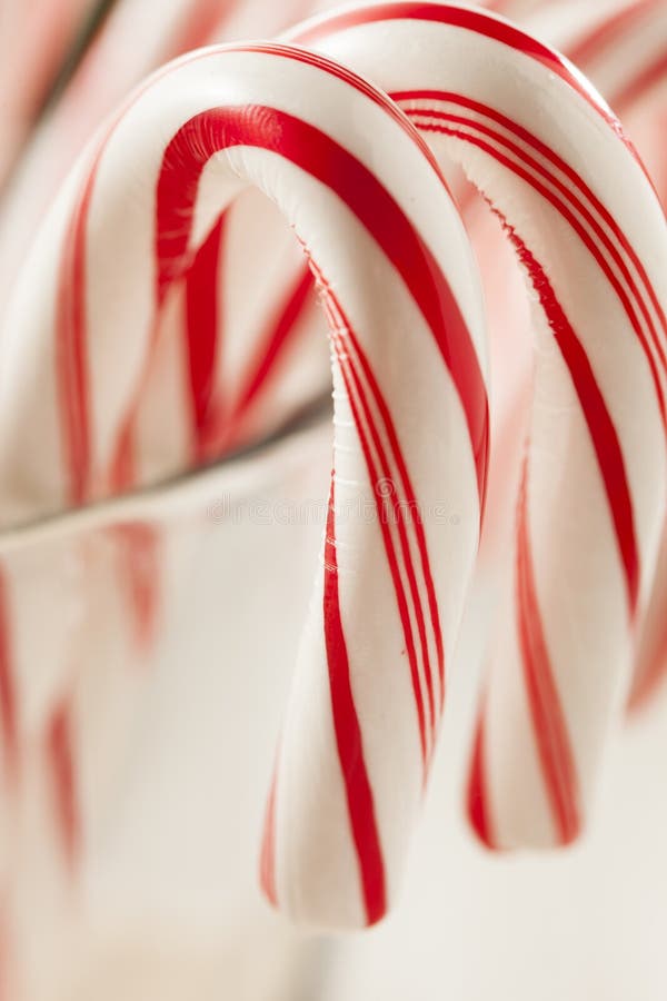 Festive Peppermint Candy Canes Stock Photo - Image of december, sweets ...