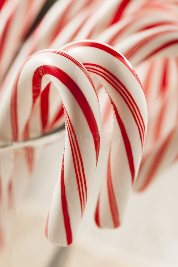 Festive Peppermint Candy Canes Stock Photo - Image of december, sweets ...