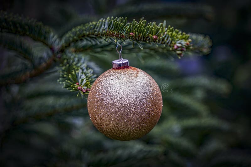 Festive Christmas. Single Glittering Christmas Tree Bauble on a ...