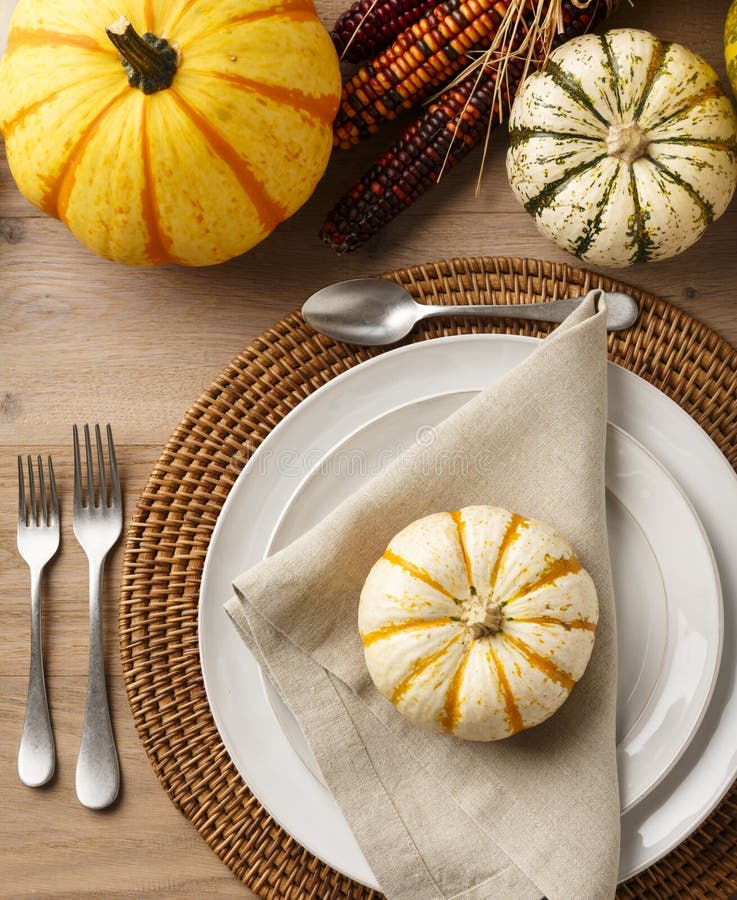 Festive Fall Thanksgiving Table Setting Place Setting Home Decor Stock ...
