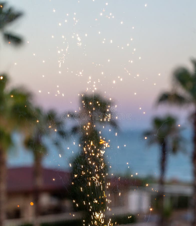 Festive Firework Sparks in a Park. Stock Photo - Image of outdoors ...