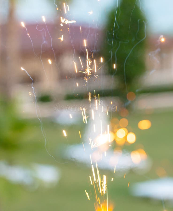 Festive Firework Sparks in a Park. Stock Photo - Image of tropical ...