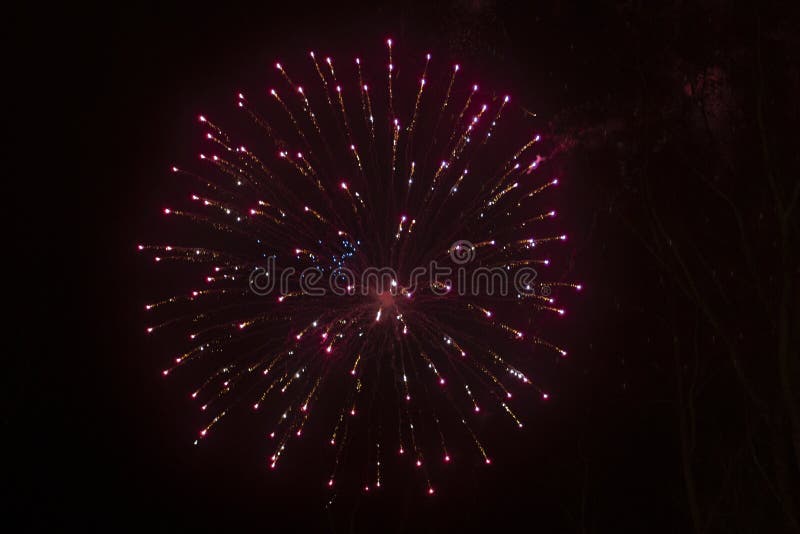 Festive Fireworks.Fireworks in the Night Sky Stock Photo - Image of ...