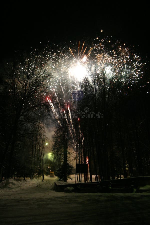 Festive fireworks stock image. Image of performer, gasoline - 58891159