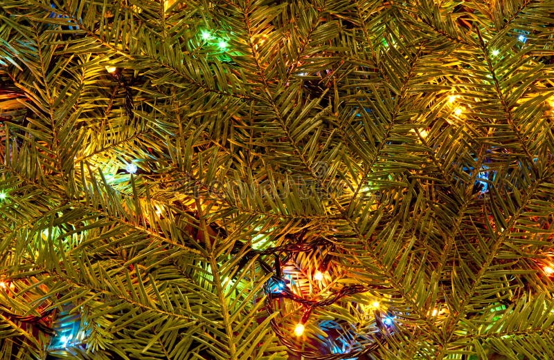 Festive Holiday Background of Christmas Lights. Stock Photo - Image of ...