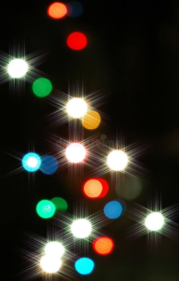 Plants in Garish Christmas Lighting Stock Photo - Image of flower ...