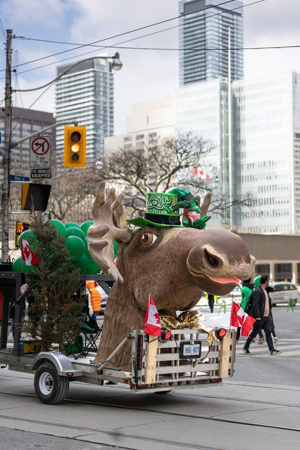Moose St Patricks Stock Photos - Free & Royalty-Free Stock Photos from ...