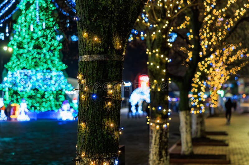 Festive Night Scene with Illuminated Trees and Christmas Lights in a ...