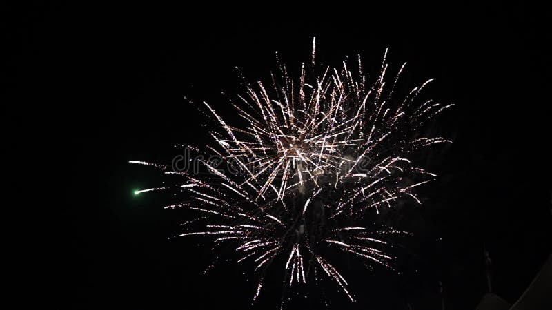 Festive Patterned Firework Bursting in Various Shapes Stock Video ...