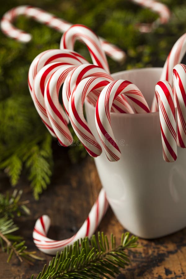 Festive Peppermint Candy Canes Stock Photo - Image of december, sweets ...