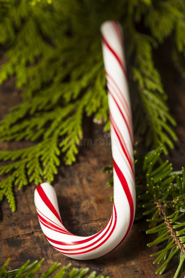 Festive Peppermint Candy Canes Stock Photo - Image of december, sweets ...