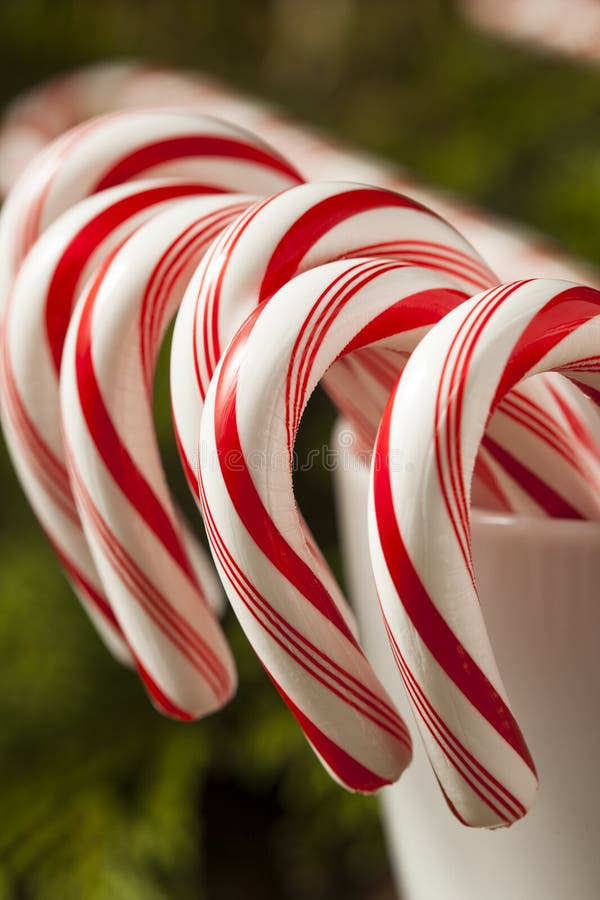 Festive Peppermint Candy Canes Stock Photo - Image of december, sweets ...