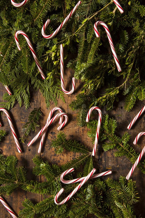 Festive Peppermint Candy Canes Stock Image - Image of sweet ...