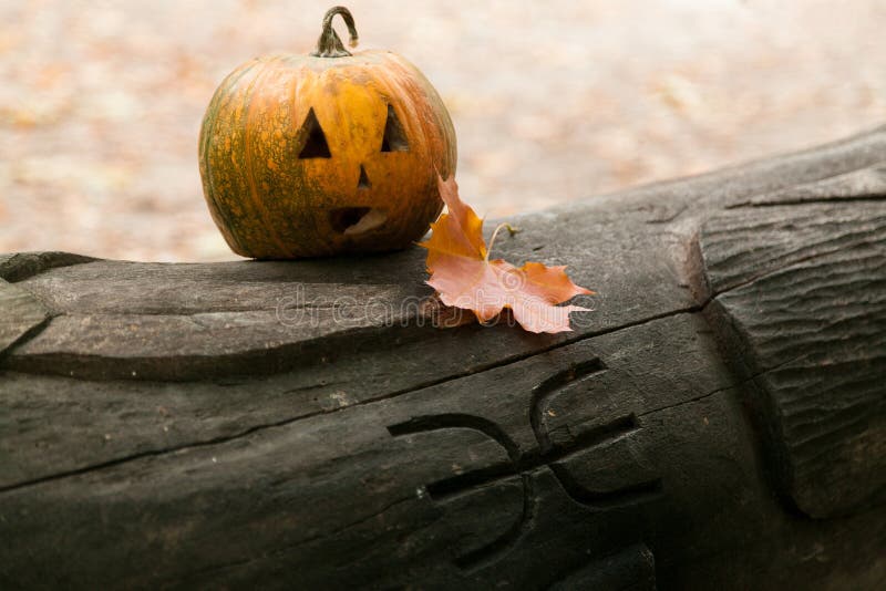 Festive Pumpkins for Halloween is on a Log Stock Photo - Image of ...