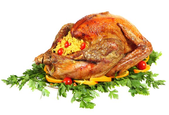 Festive Turkey Side View Isolated Stock Image - Image of dinner, rice ...